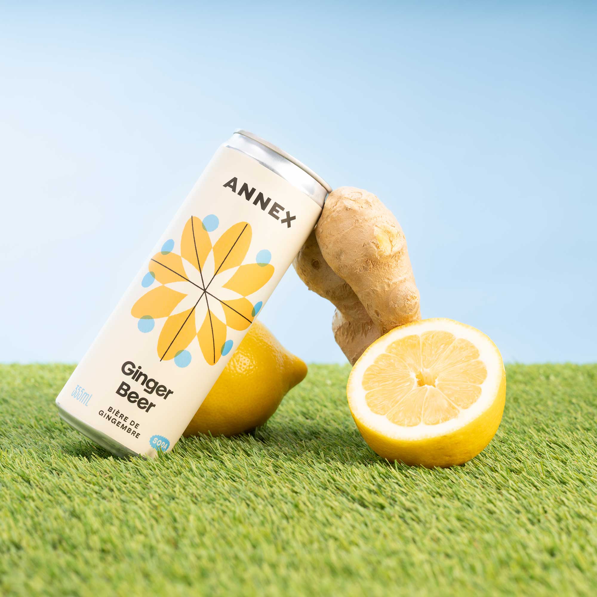 Ginger Beer – Annex Soda Mfg.